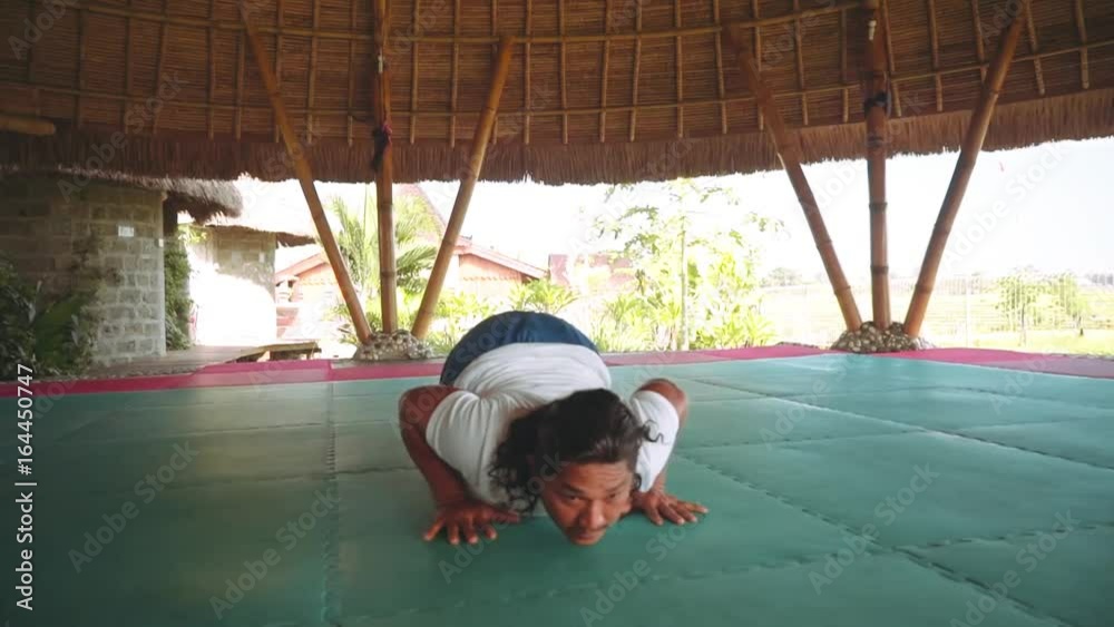 Sun salutation part with Downward-Facing Dog pose, eight limb pose ...