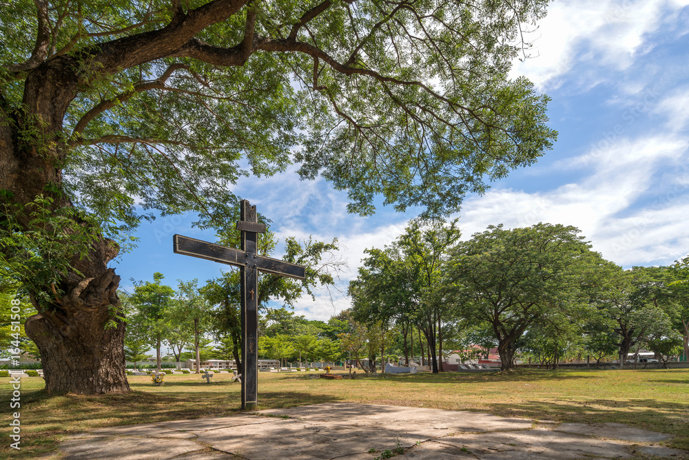 Tomb Under A Tree
