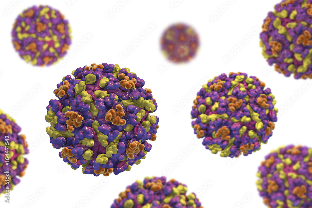Eastern equine encephalitis virus isolated on white background, 3D ...