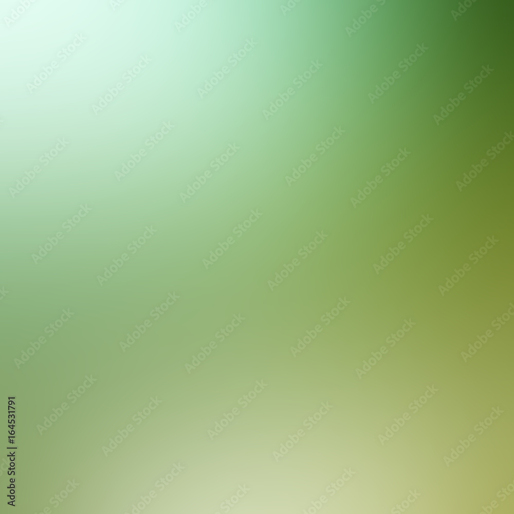 Light green gradient abstract background Stock Photo | Adobe Stock
