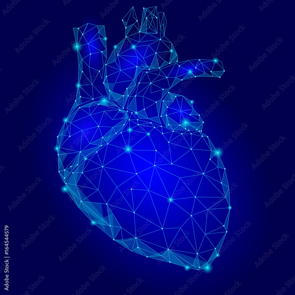 Human Heart Internal Organ Triangle Low Poly. Connected dots blue color ...