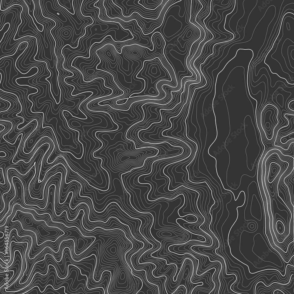 Topographic map background with space for copy . Line topography map ...