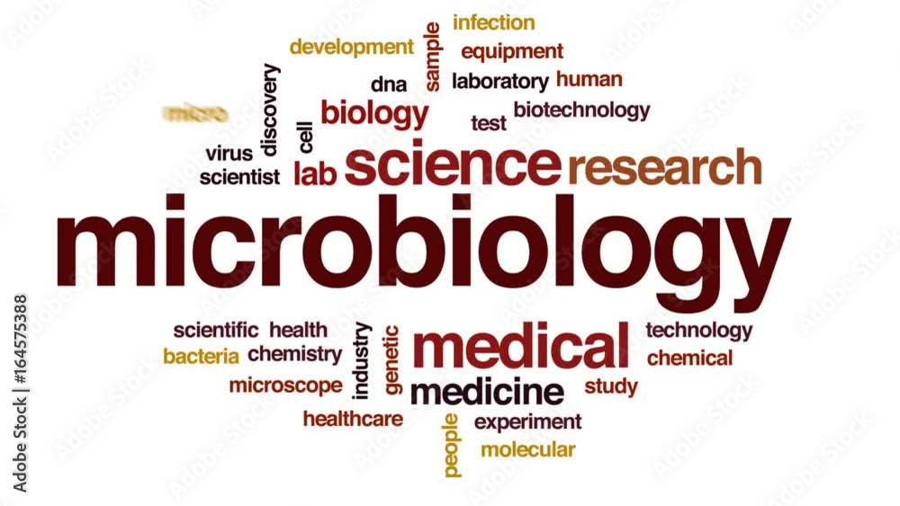 Microbiology animated word cloud, text design animation. Stock ビデオ ...