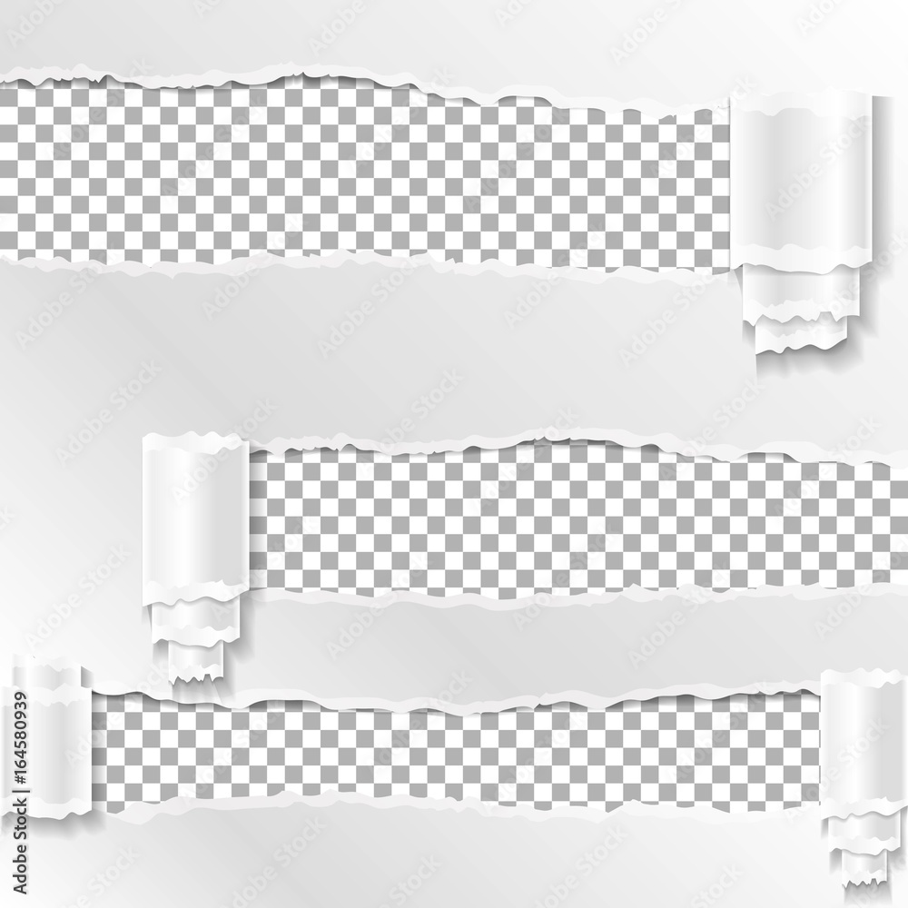 Torn paper vector collection. Paper roll with ripped edges, torn banner ...