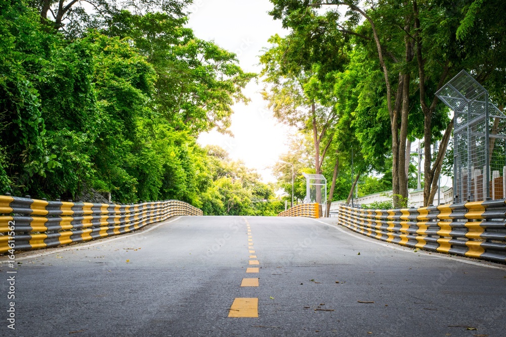 City Street Racetrack with a roadside trees using wallpaper or ...