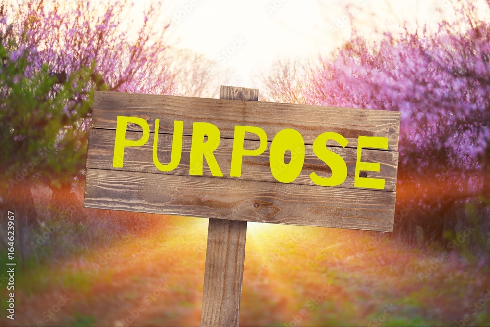 Purpose. Stock Photo | Adobe Stock