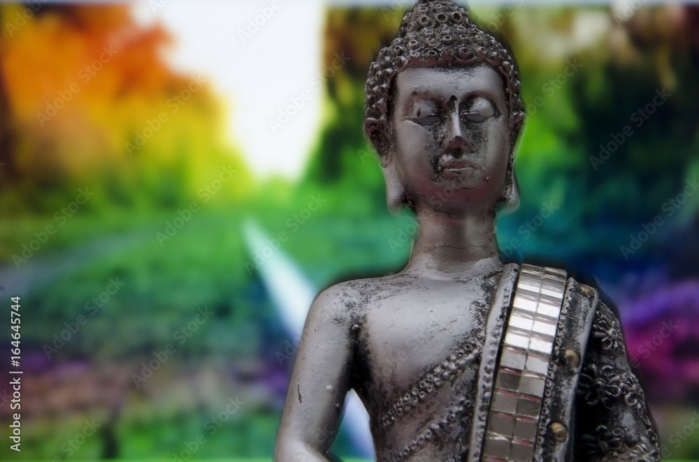 Poster Imagen de Buda con fondo de vegetación de colores – Wall Art ...