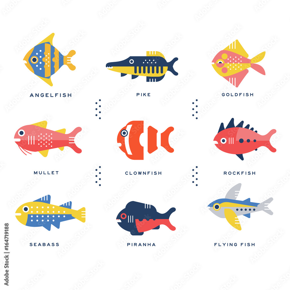 Collection of sea and ocean fish and lettering name in English vector ...