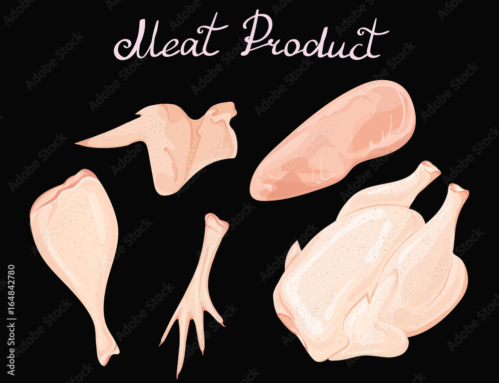 Set of chicken meat. Vector collection of meat products from poultry ...