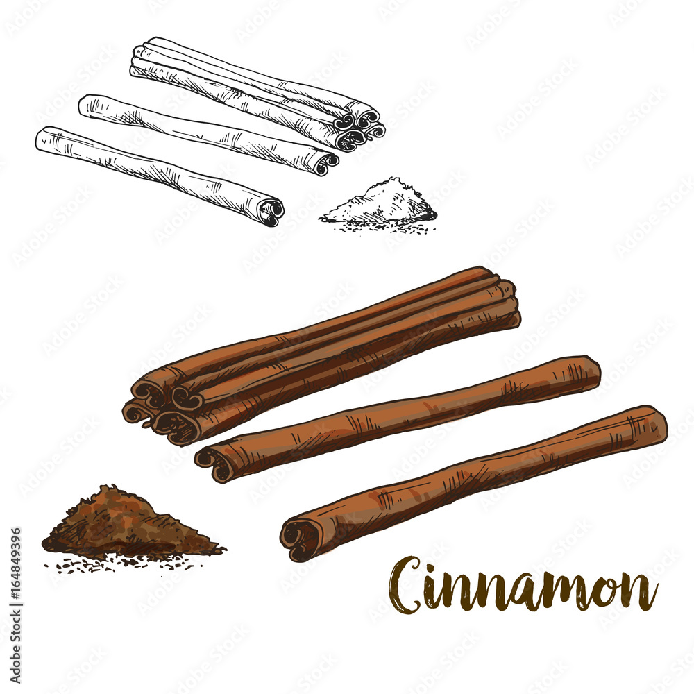 Cinnamon Illustration