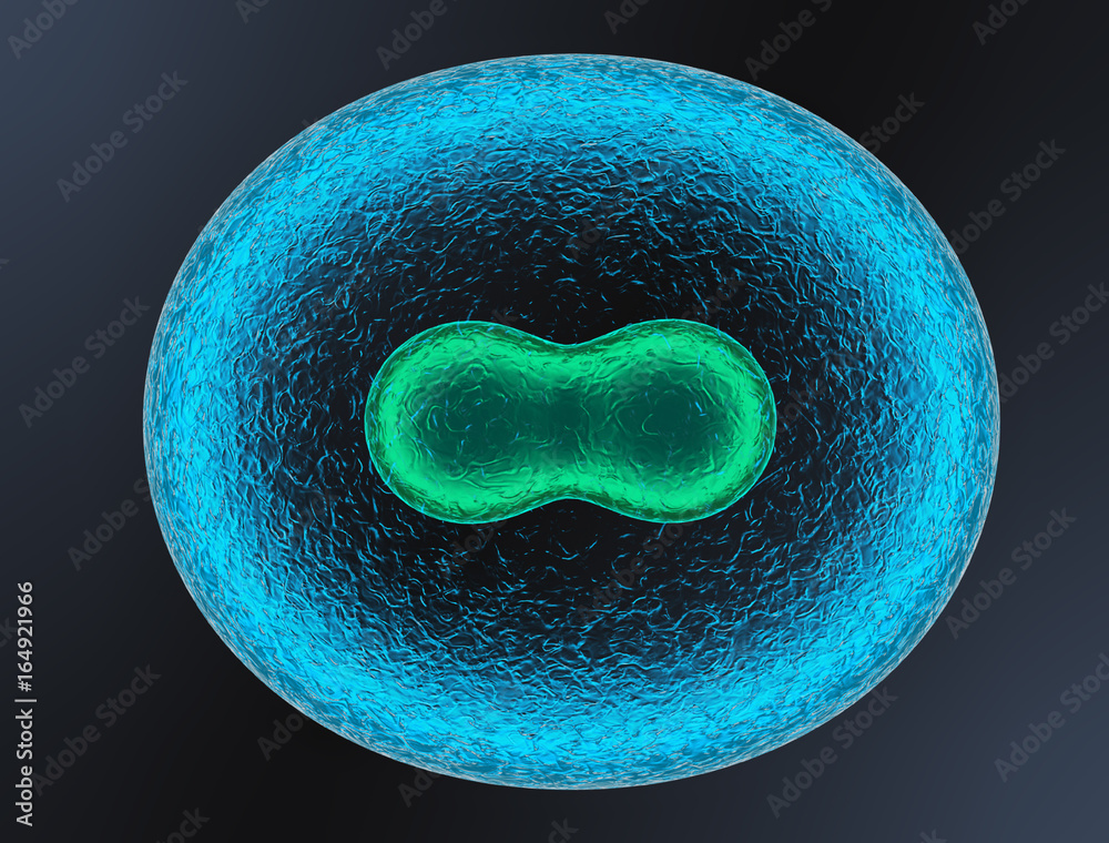 3D. Two Cell, embryo, Human Cell. and Cell division on a dark blue ...