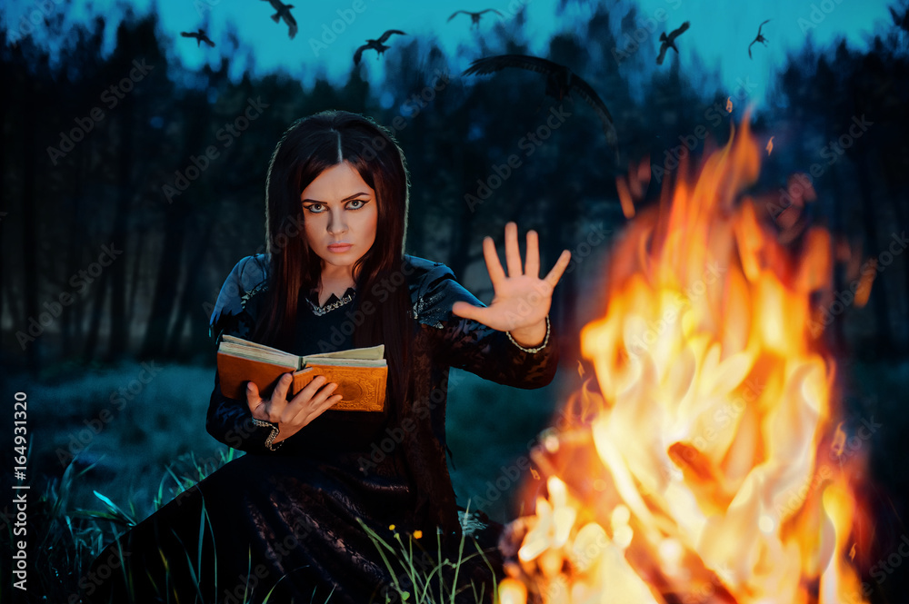 Fire Witch Book
