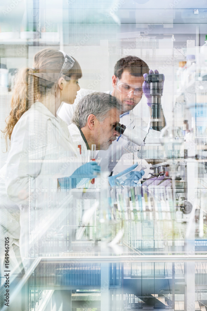 Health care researchers microscoping in life science laboratory. Young ...