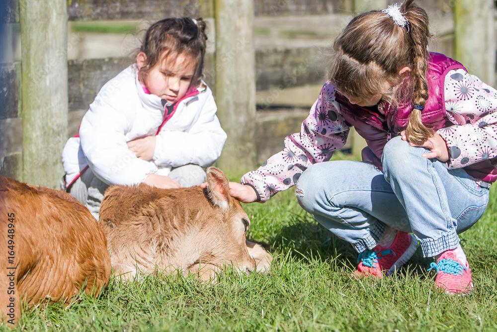 Caring For Animals For Kids