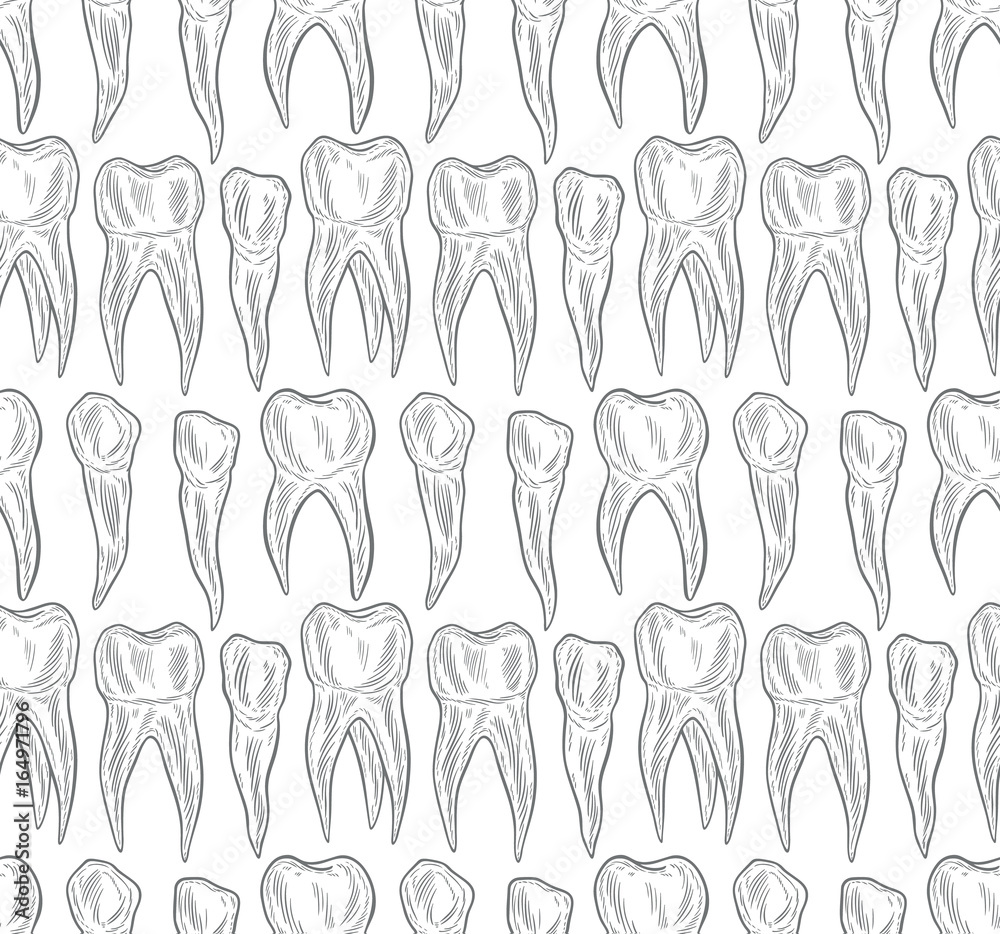 Stylized doodle, hand drawn outline of teeth. A seamless tooth pattern ...