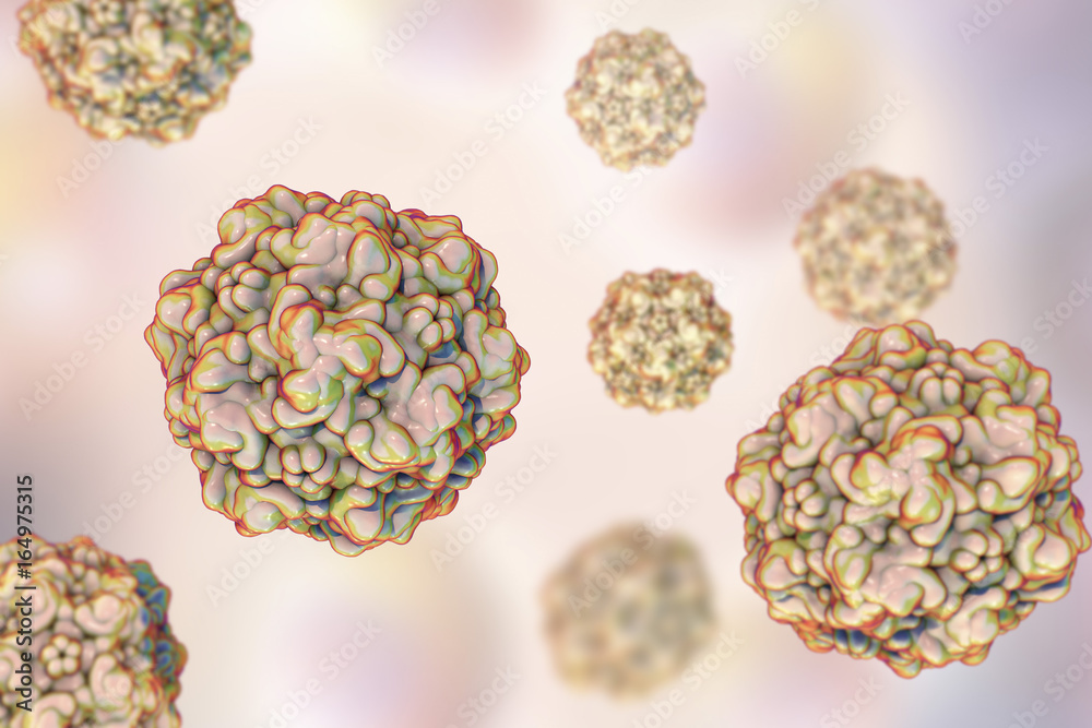 Feline panleukopenia virus, also called as feline infectious enteritis ...