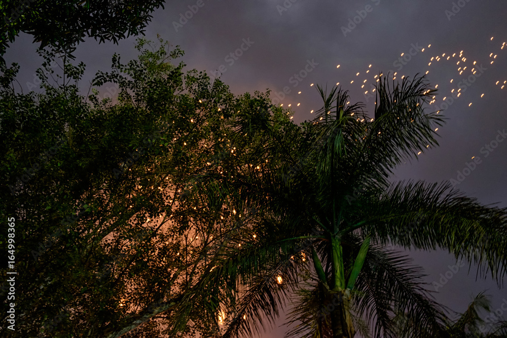 Waisak - Vesakha - Vesak celebration, Buddha birth, enlightment and ...