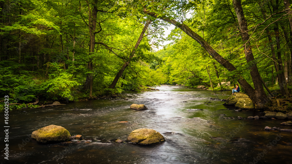 Musconetcong River Nj