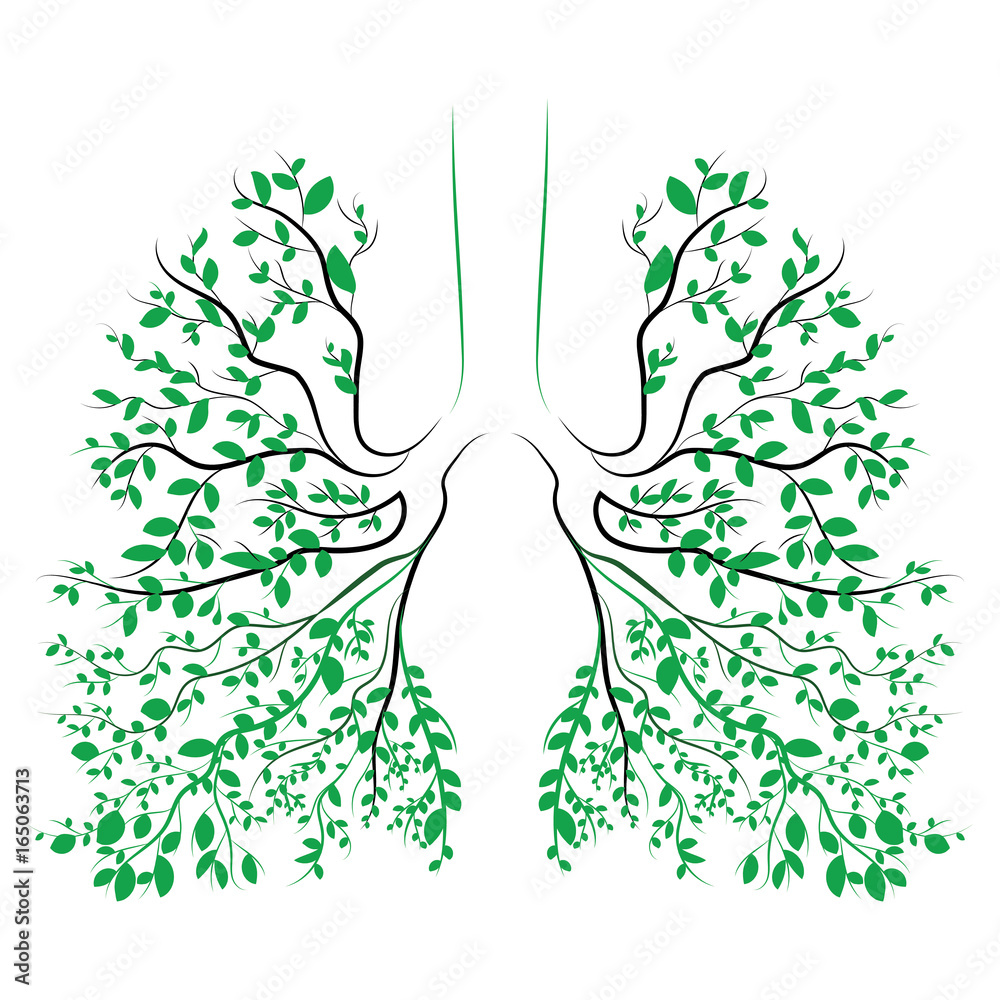Human lungs. respiratory system. Healthy lungs. Light in the form of a ...