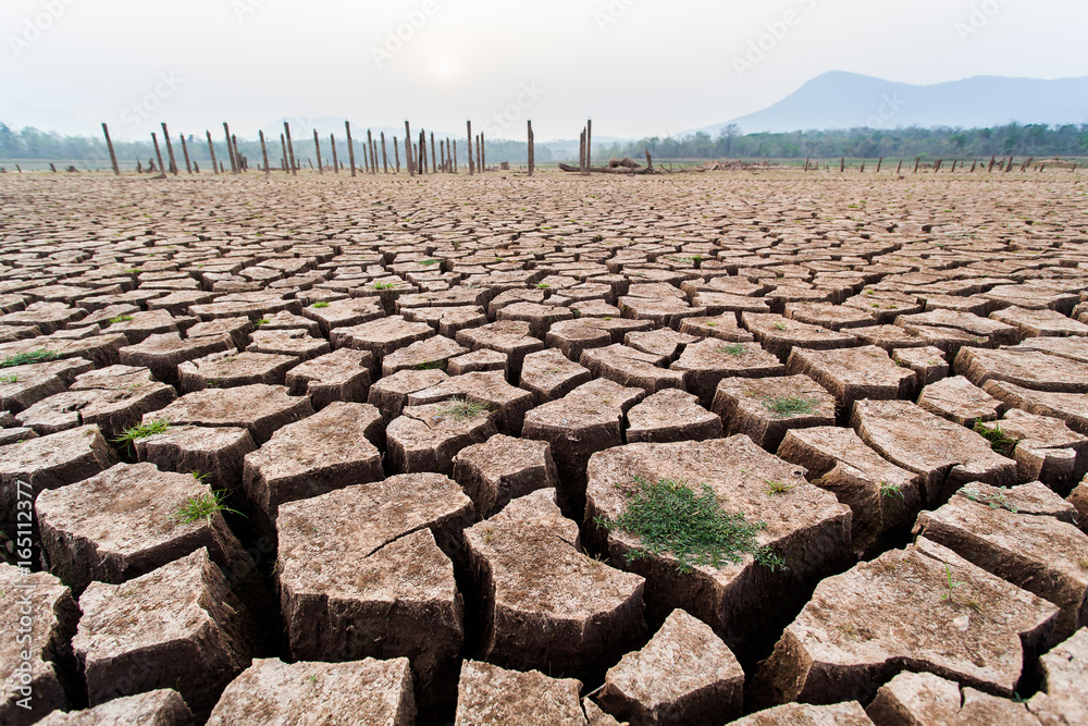 Cracked dry land without water.Abstract background. Stock Photo | Adobe ...