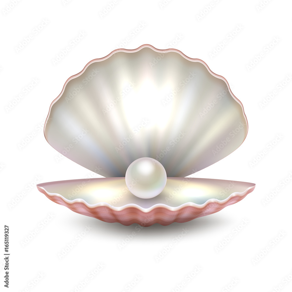 Realistic vector beautiful natural open sea pearl shell closeup ...
