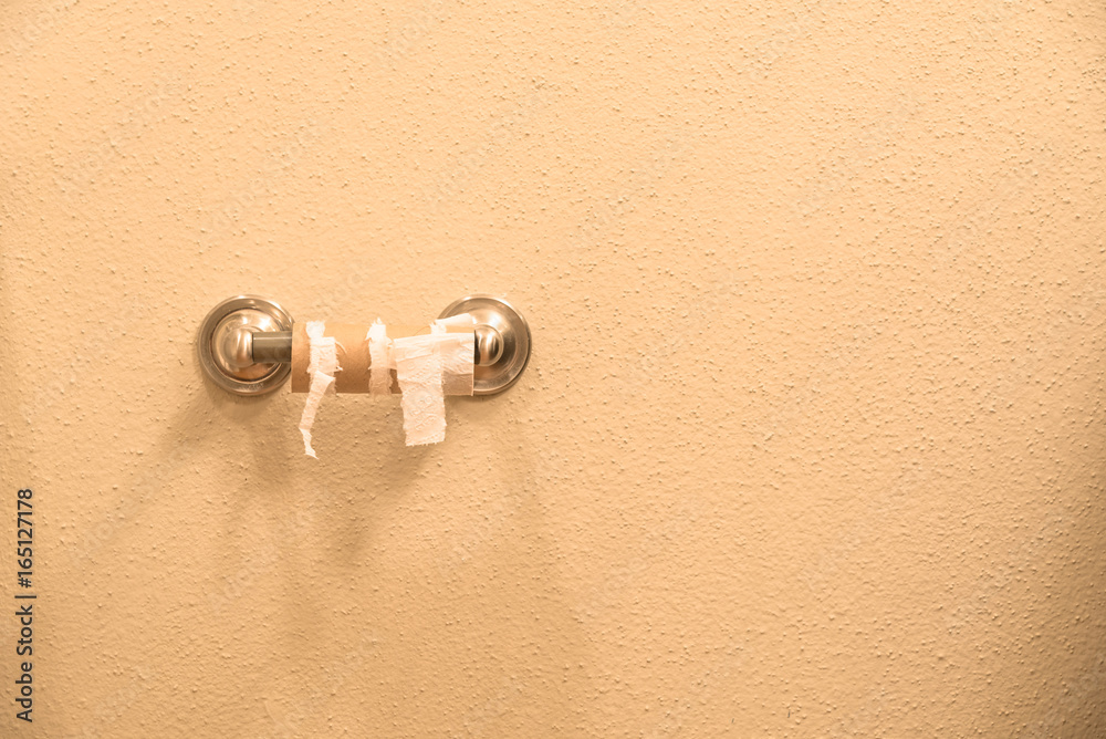 Close-up of finished toilet paper roll in bathroom. Empty roll on ...