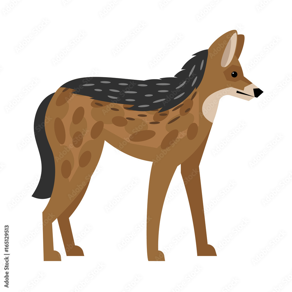 Jackal Clipart