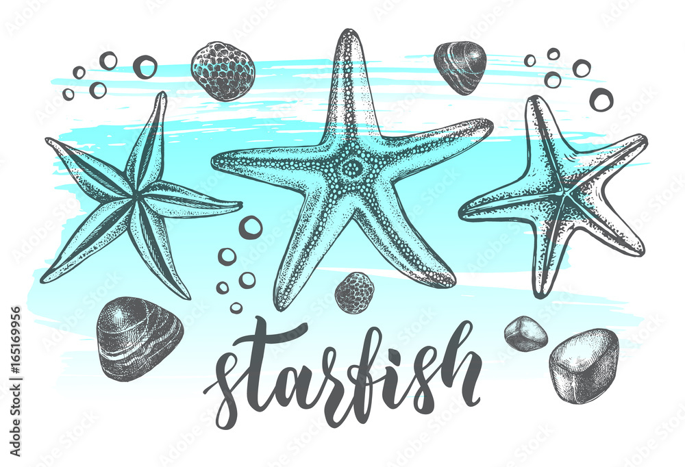 Background with sea starfishs. Marine Ink hand drawn elements for ...
