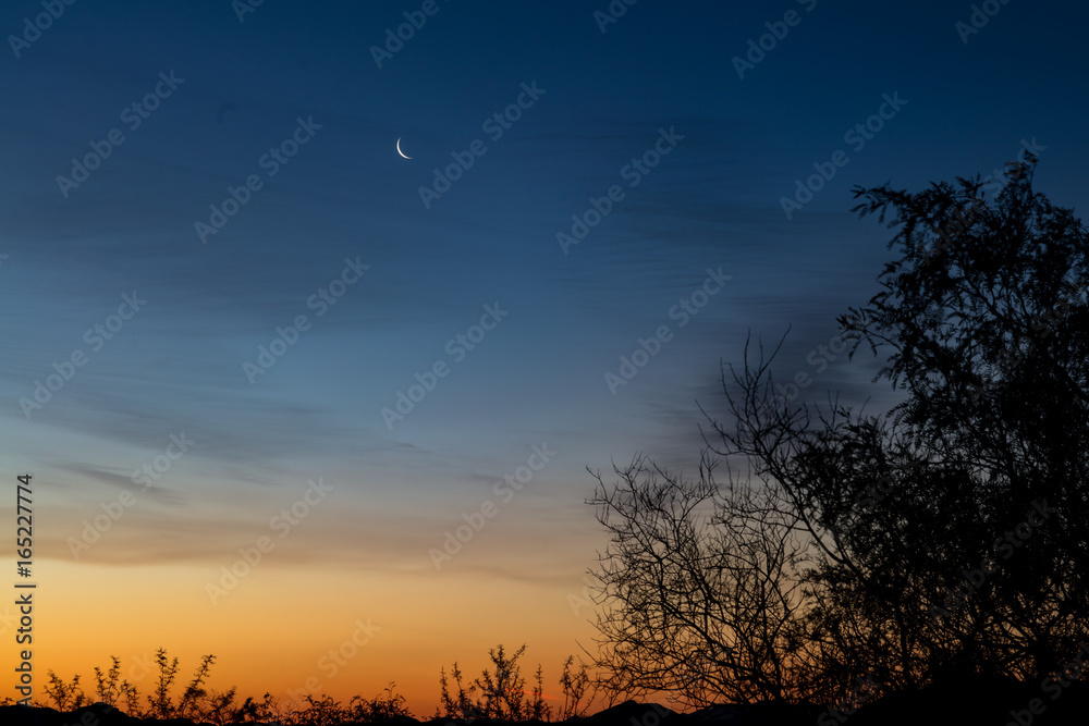 Waning Crescent Moon at Sunrise, Arizona Sky Village, Arizona, USA ...
