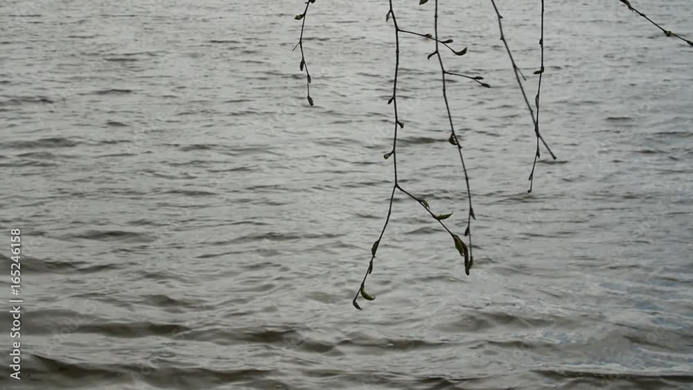 Lake water wavy surface, tree twig, water greenish tint opaque. Stock ...