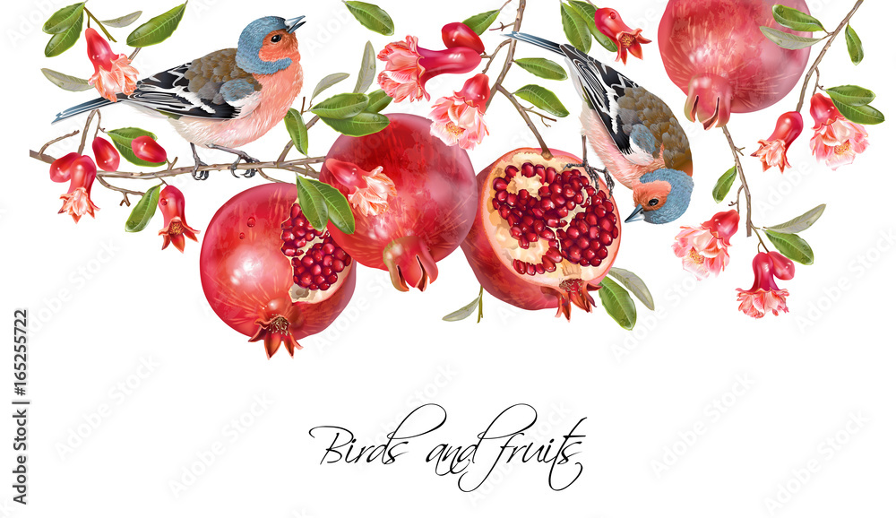 Finch pomegranate border Stock Vector | Adobe Stock