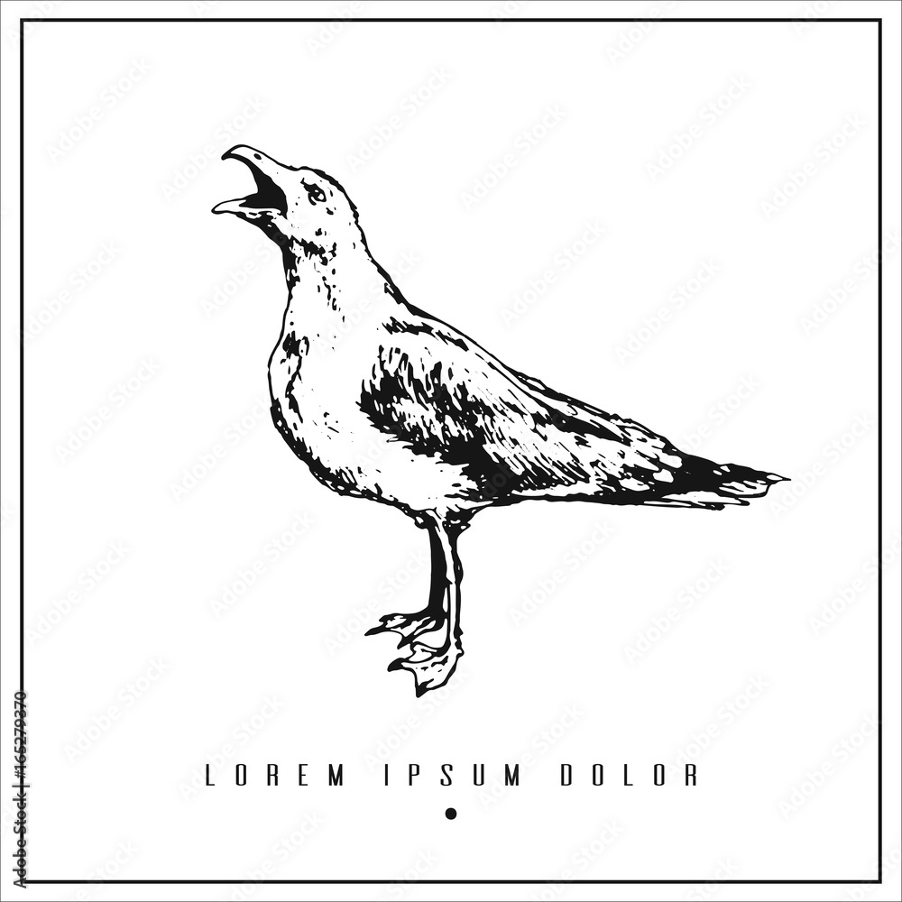 hand drawn isolated illustration with seagull and place for your text ...