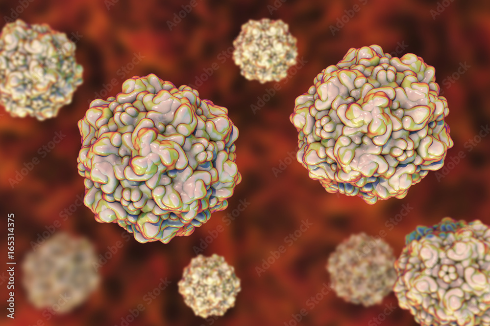 Feline panleukopenia virus, also called as feline infectious enteritis ...
