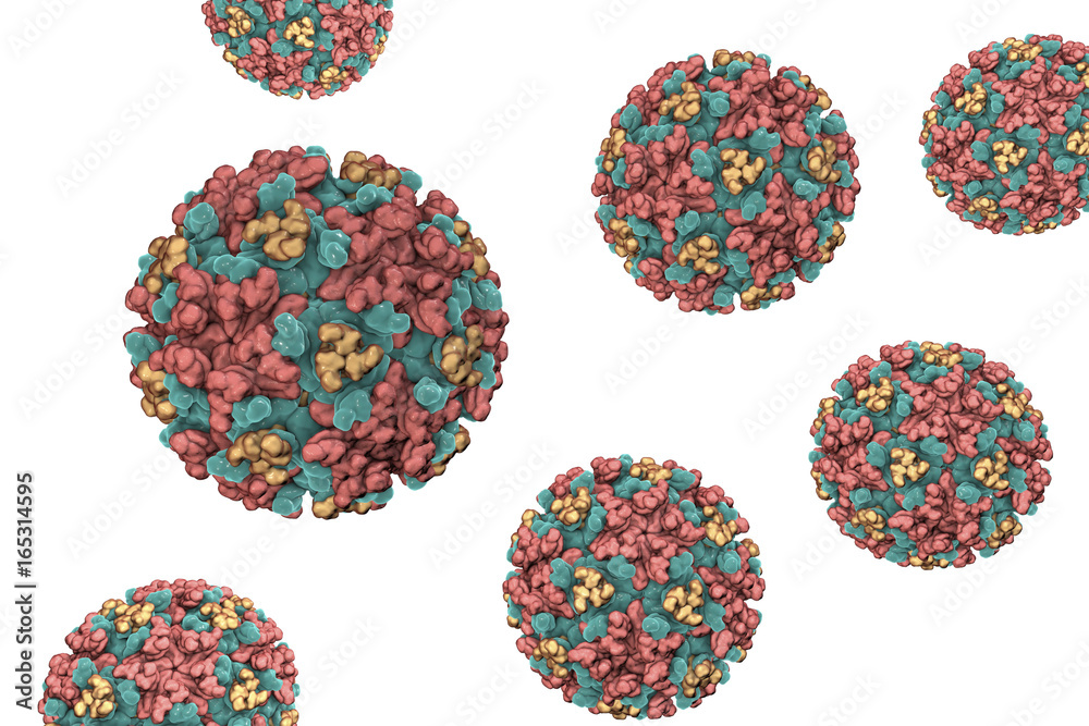Eastern equine encephalitis virus isolated on white background, 3D ...