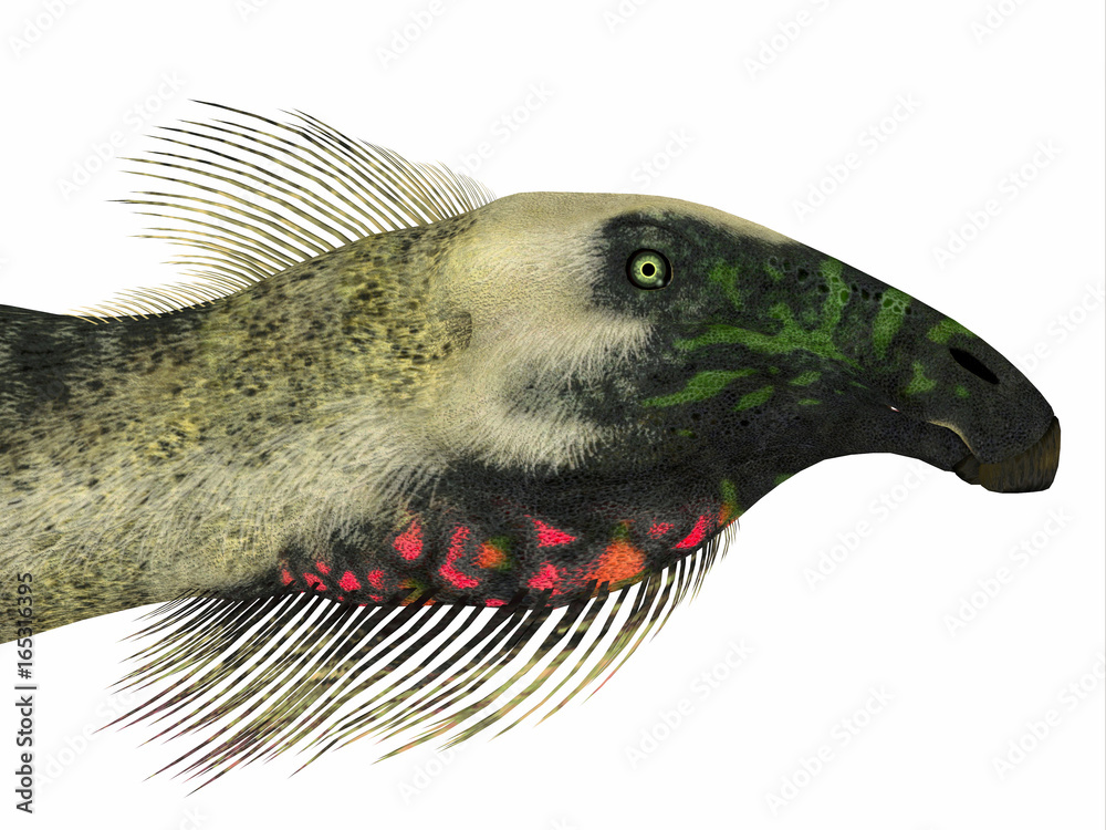 Beipiaosaurus Dinosaur Head - Beipiaosaurus was a herbivorous theropod ...
