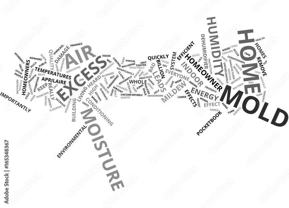 EXCESS HUMIDITY LEADS TO MOLD Text Background Word Cloud Concept Stock ...