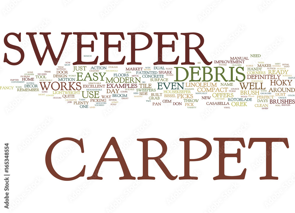 EXAMPLES OF THE MODERN DAY CARPET SWEEPER Text Background Word Cloud ...