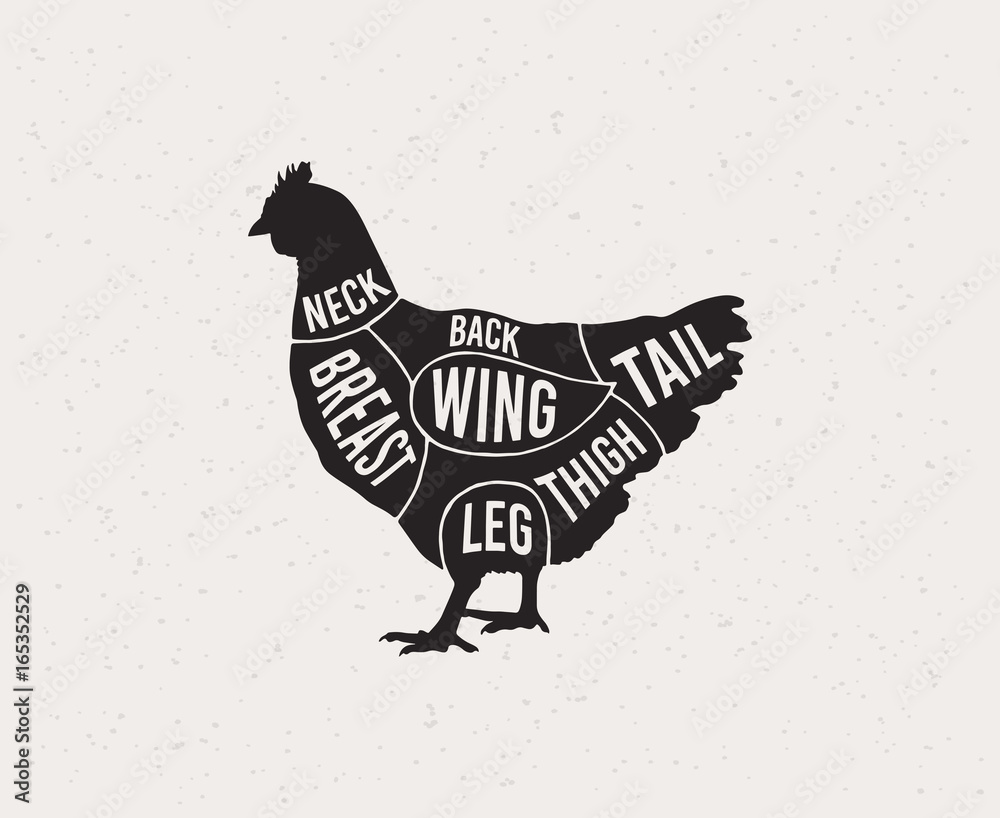 Chicken cuts. Diagrams for butcher shop. Scheme of chicken. Vector ...
