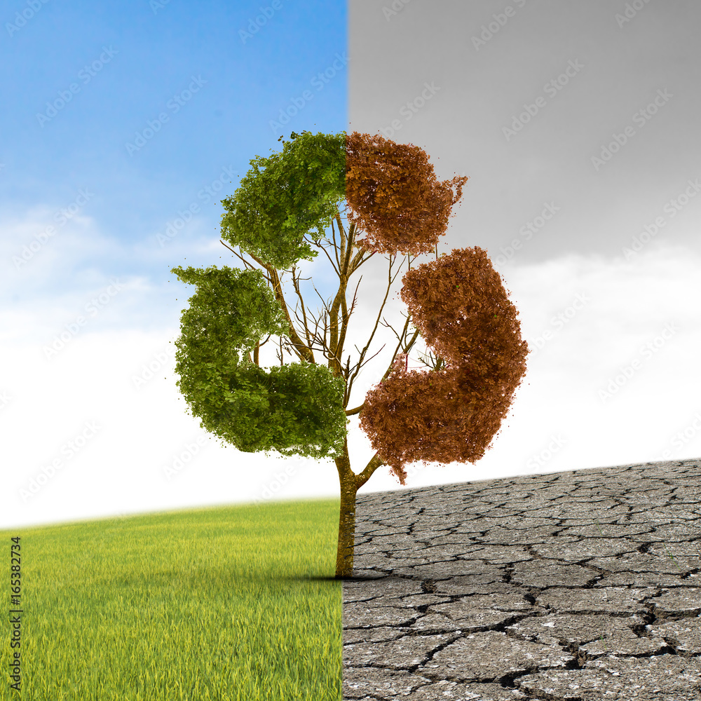 The concept of climate has changed. Half alive and half dead tree ...