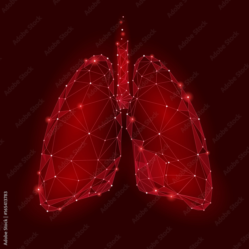 Human Internal Organ Lungs. Low Poly technology design. Red color ...