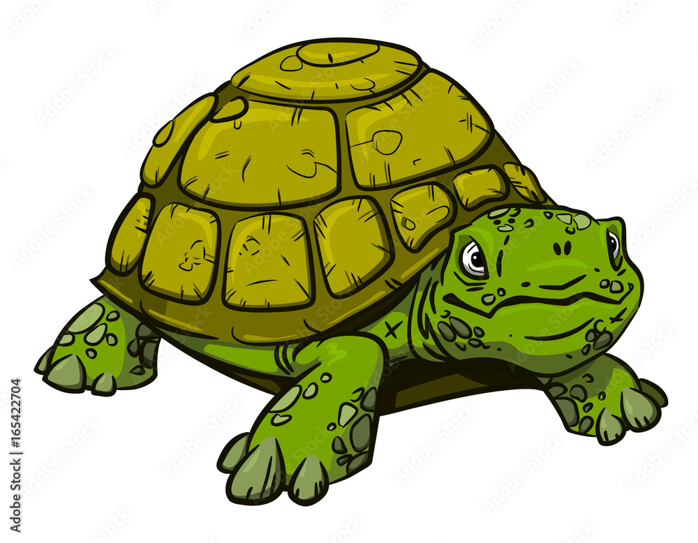 Cartoon image of turtle. An artistic freehand picture. Stock Vector ...