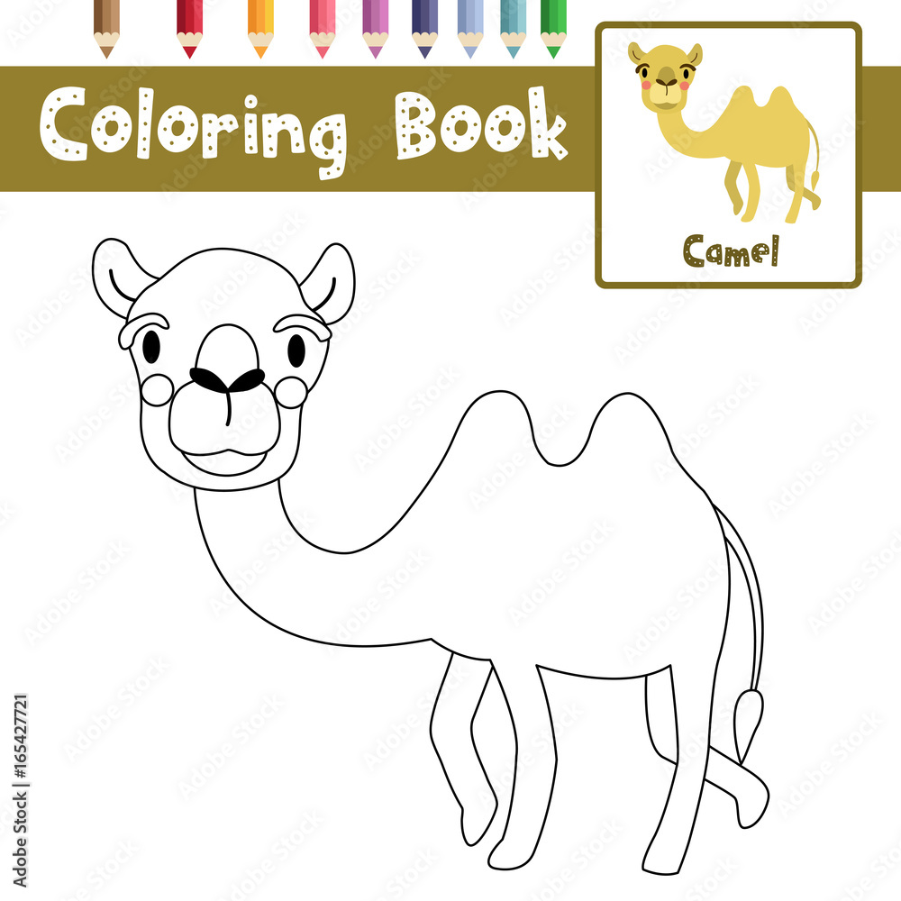 Coloring page of Bactrian Camel animals for preschool kids activity ...