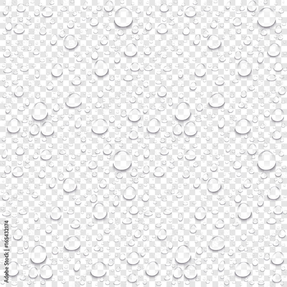 Poster Realistic vector water drops transparent background – Wall Art ...
