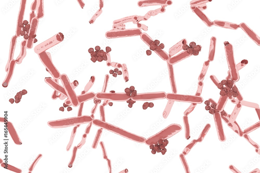 Bacteria Lactobacillus or lactic acid bacteria 3d illustration Stock ...