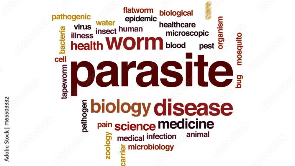 Parasite animated word cloud, text design animation. vídeo de Stock ...