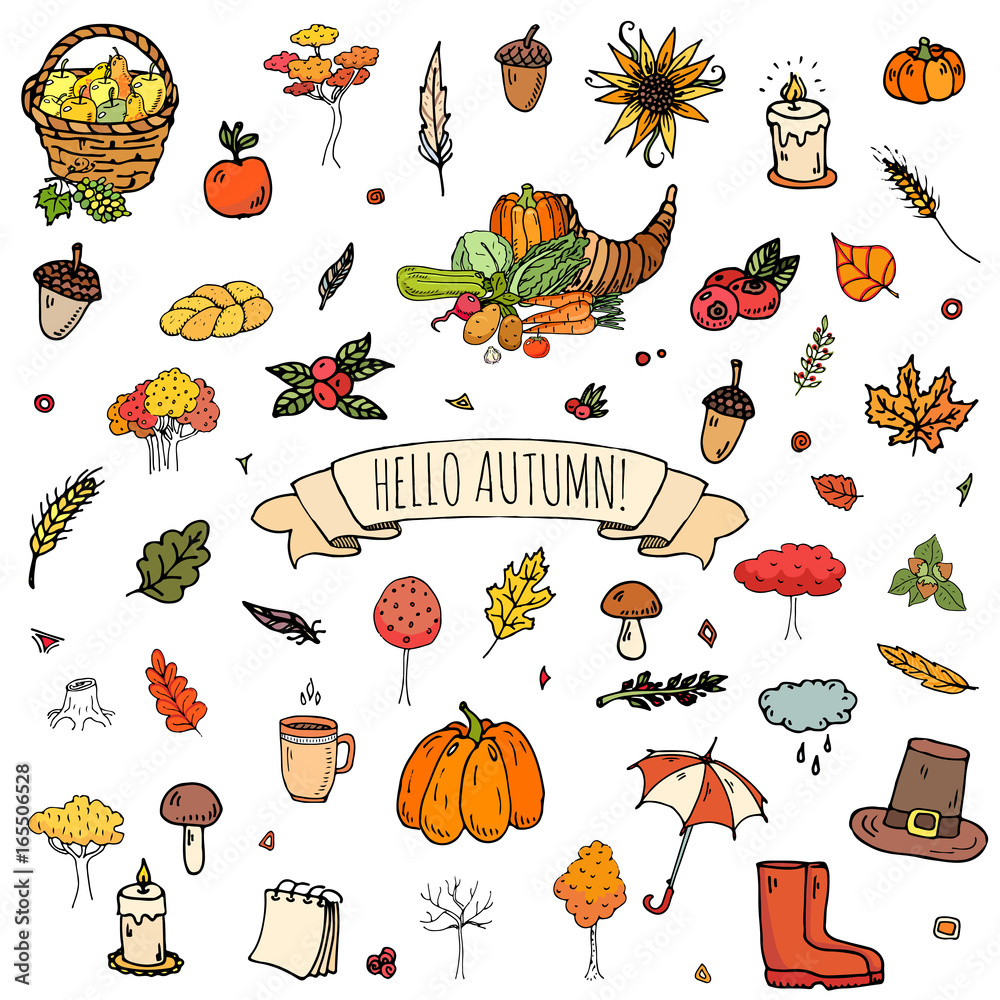 Hand drawn doodle Autumn icons set. Vector illustration. Fall symbols ...