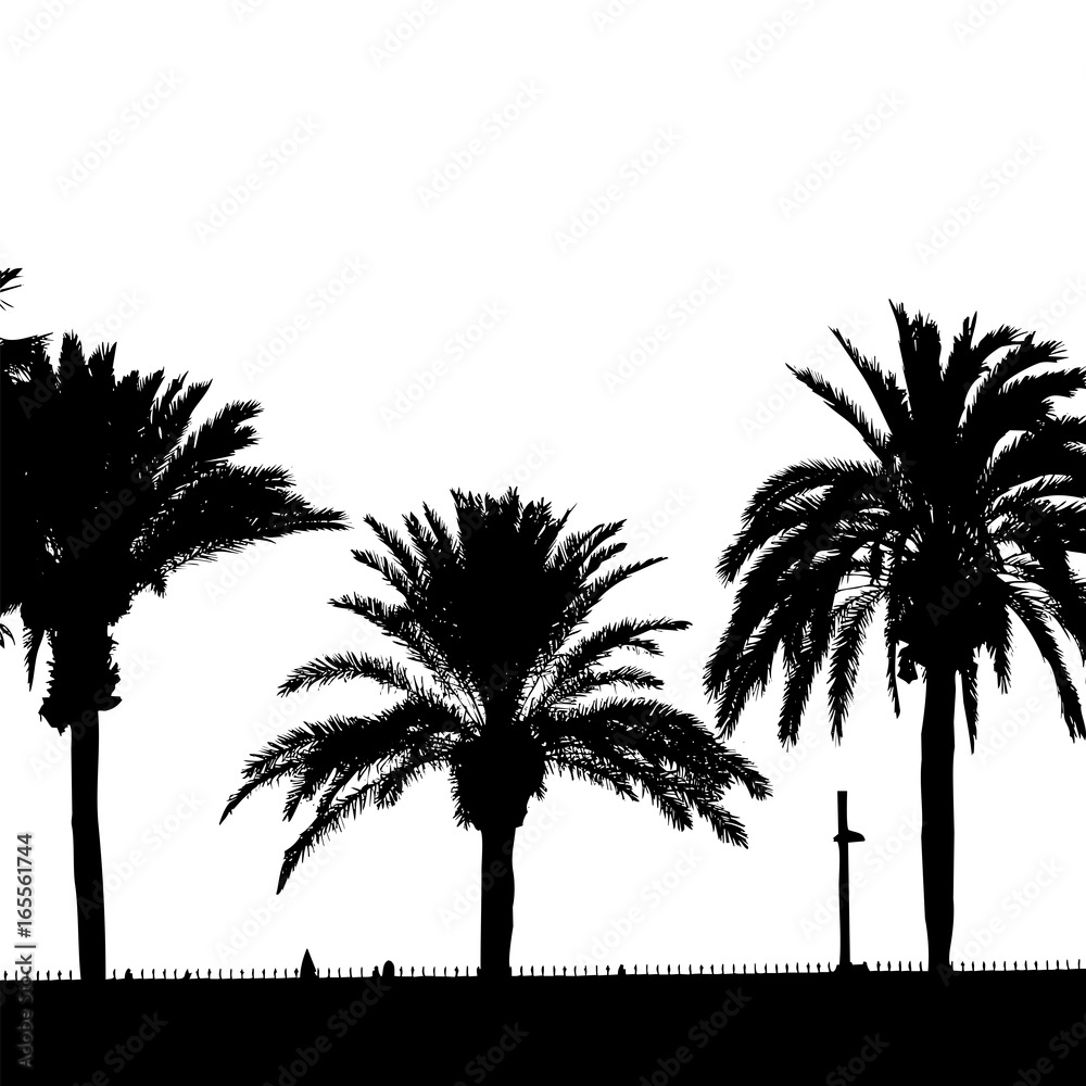 palmeras en la playa Stock Vector | Adobe Stock