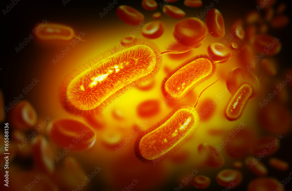 3d structure of E. Coli - Escherichia coli Stock Illustration | Adobe Stock