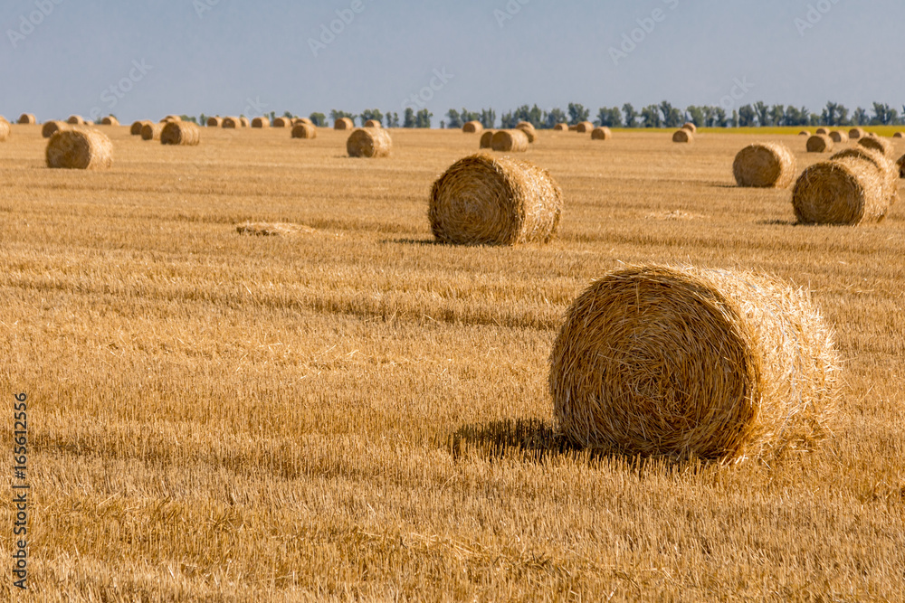 a stack of hay. Haystacks.Farming Stock Photo | Adobe Stock