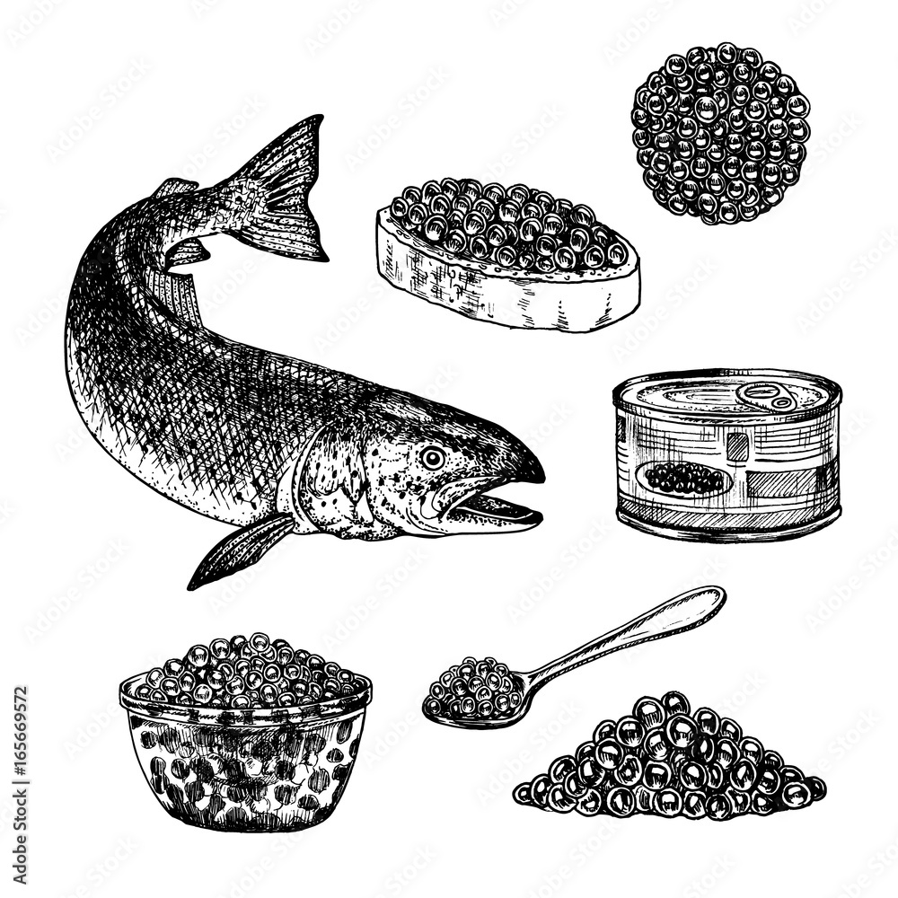 Hand drawn set of red caviar. Stock Vector | Adobe Stock